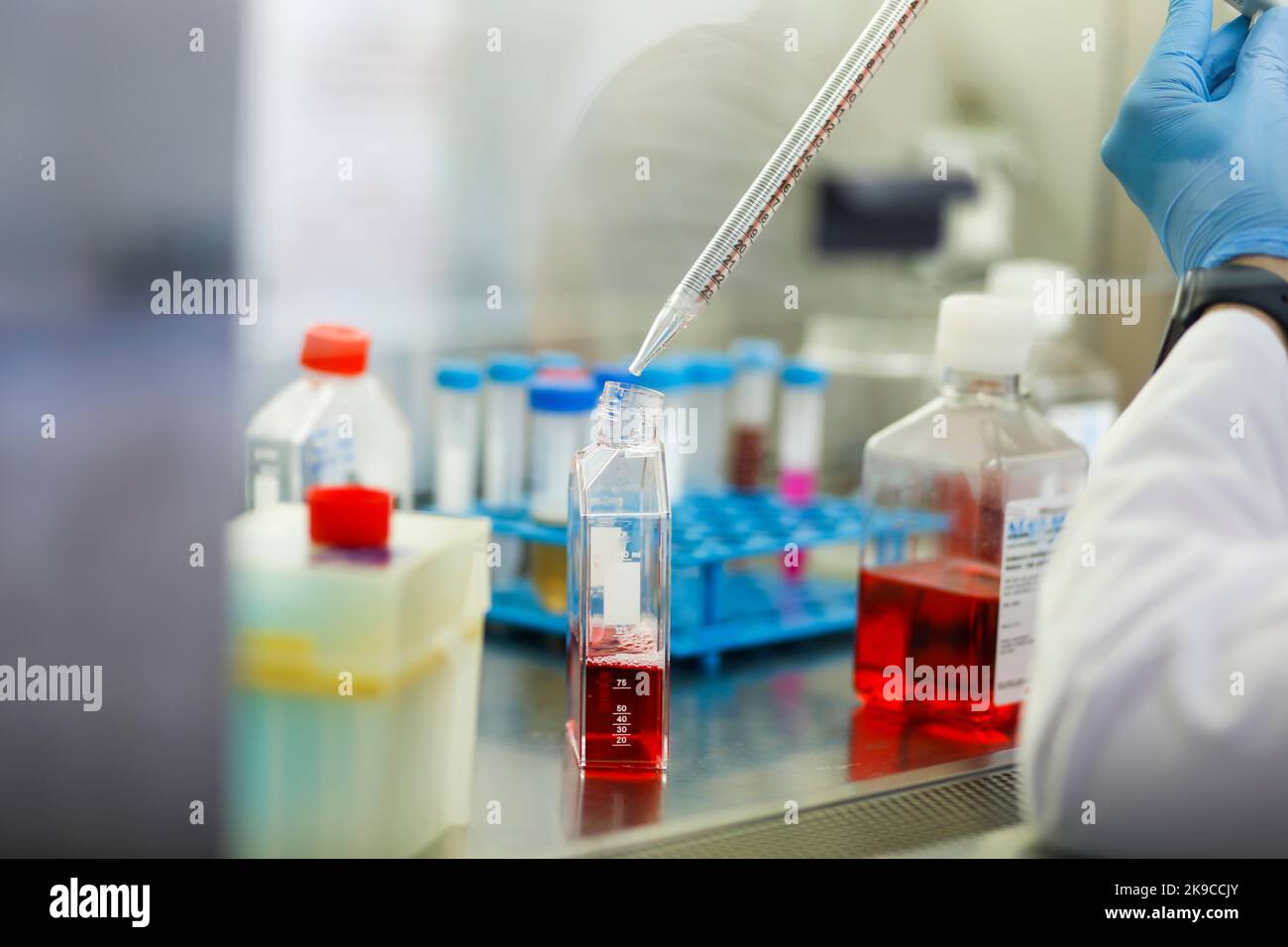cell culture, medicine, medical and biology laboratory Stock Photo - Alamy
