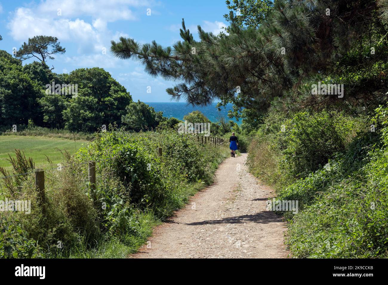 Adult walk with dog at Mothecombe, Devon UK Stock Photo - Alamy