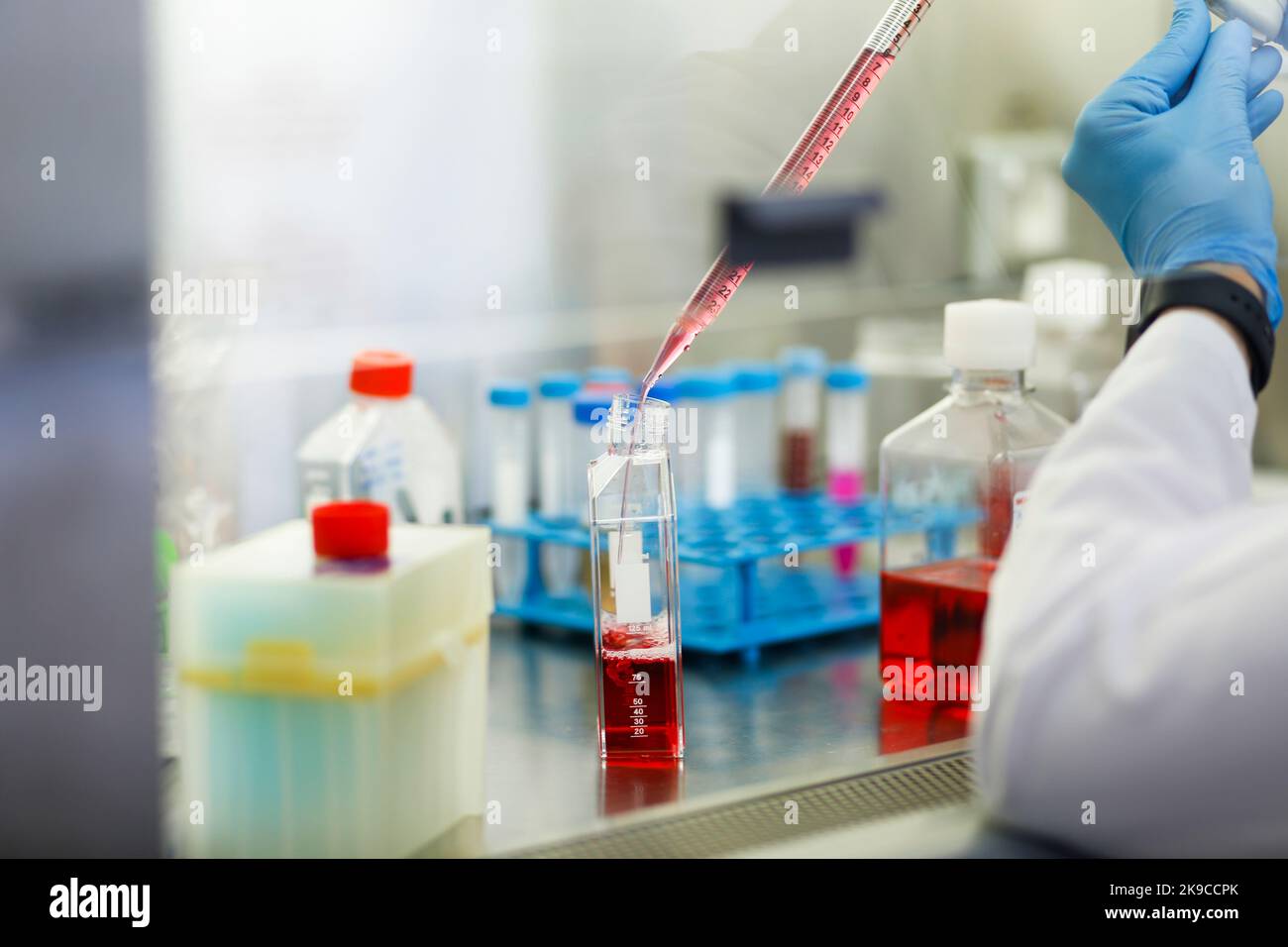 cell culture, medicine, medical and biology laboratory Stock Photo - Alamy
