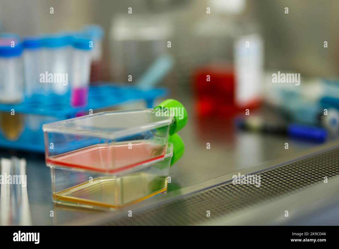 cell culture, medicine, medical and biology laboratory Stock Photo - Alamy