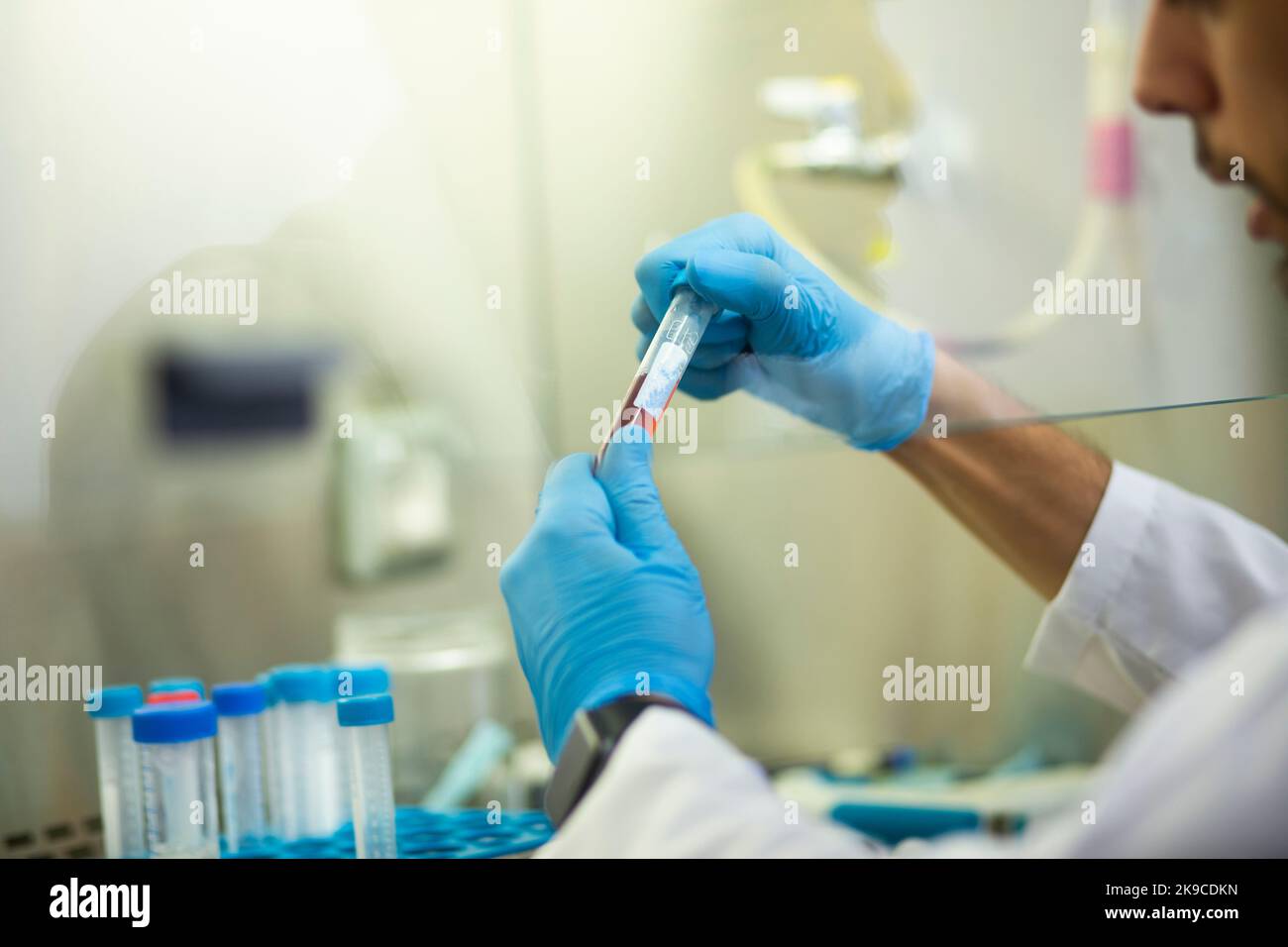 cell culture, medicine, medical and biology laboratory Stock Photo - Alamy