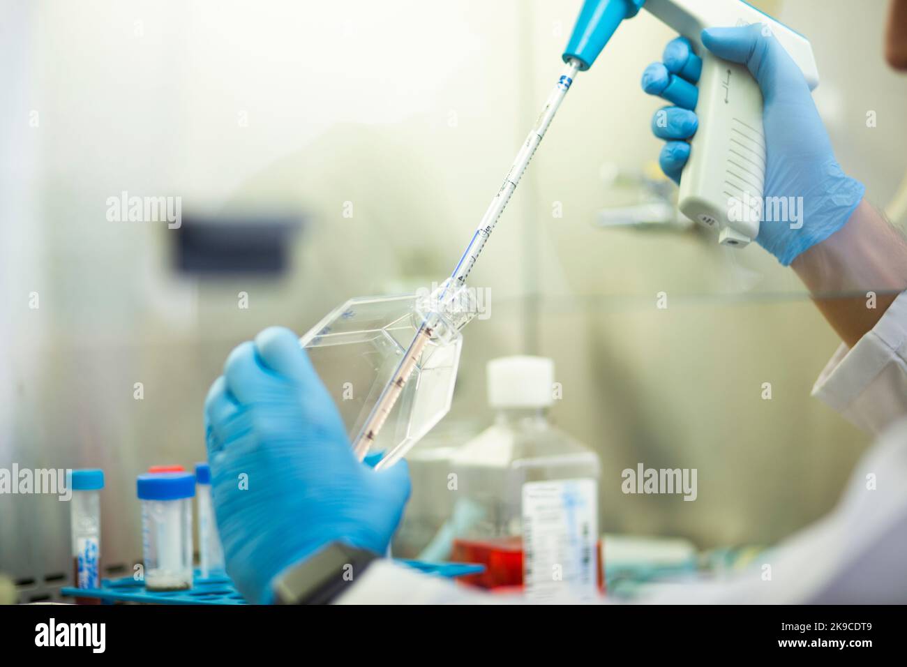 cell culture, medicine, medical and biology laboratory Stock Photo - Alamy