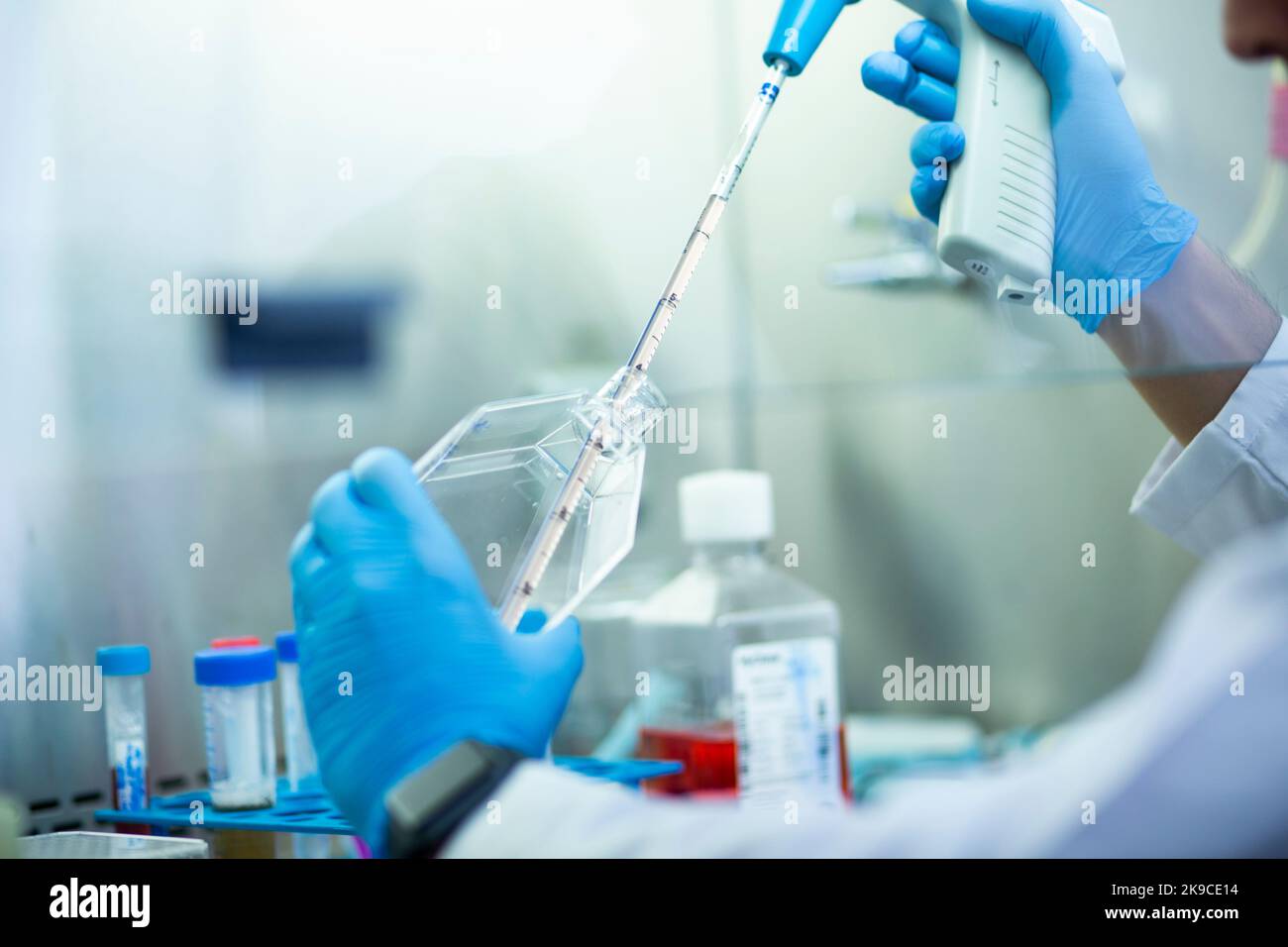 cell culture, medicine, medical and biology laboratory Stock Photo - Alamy
