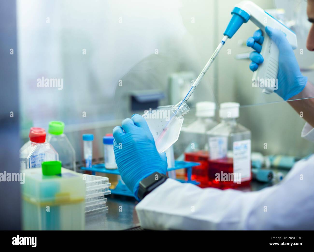 cell culture, medicine, medical and biology laboratory Stock Photo - Alamy