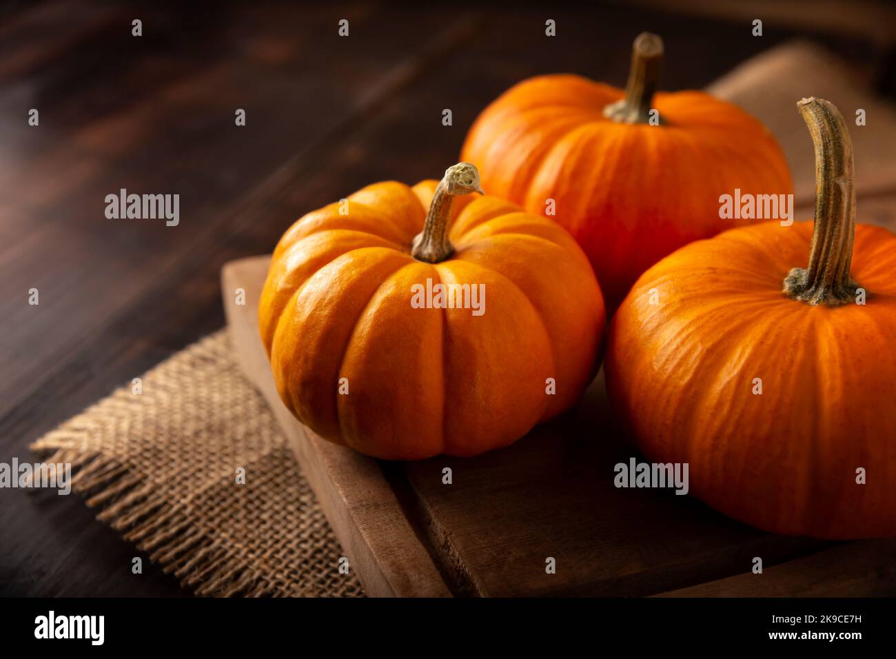 Small orange pumpkins with black background. Pumpkins are widely grown ...