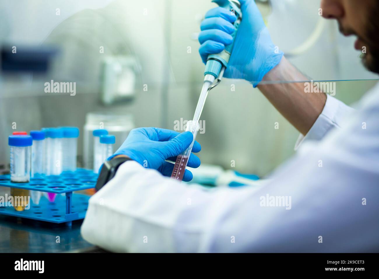 cell culture, medicine, medical and biology laboratory Stock Photo - Alamy