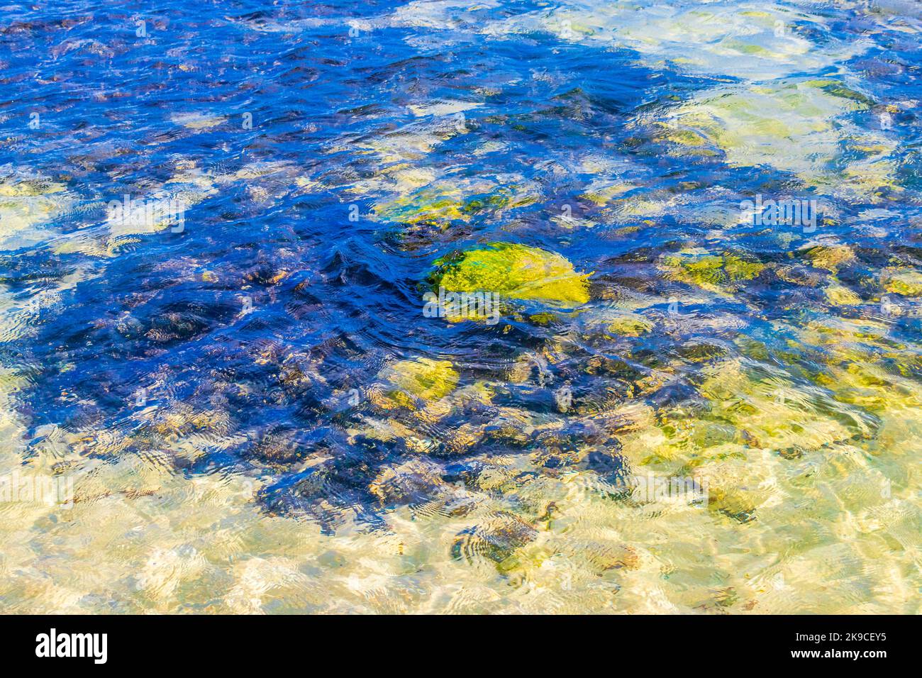 Stones rocks and corals in turquoise green and blue water on the beach ...