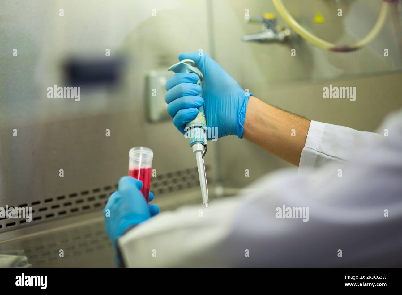 cell culture, medicine, medical and biology laboratory Stock Photo - Alamy