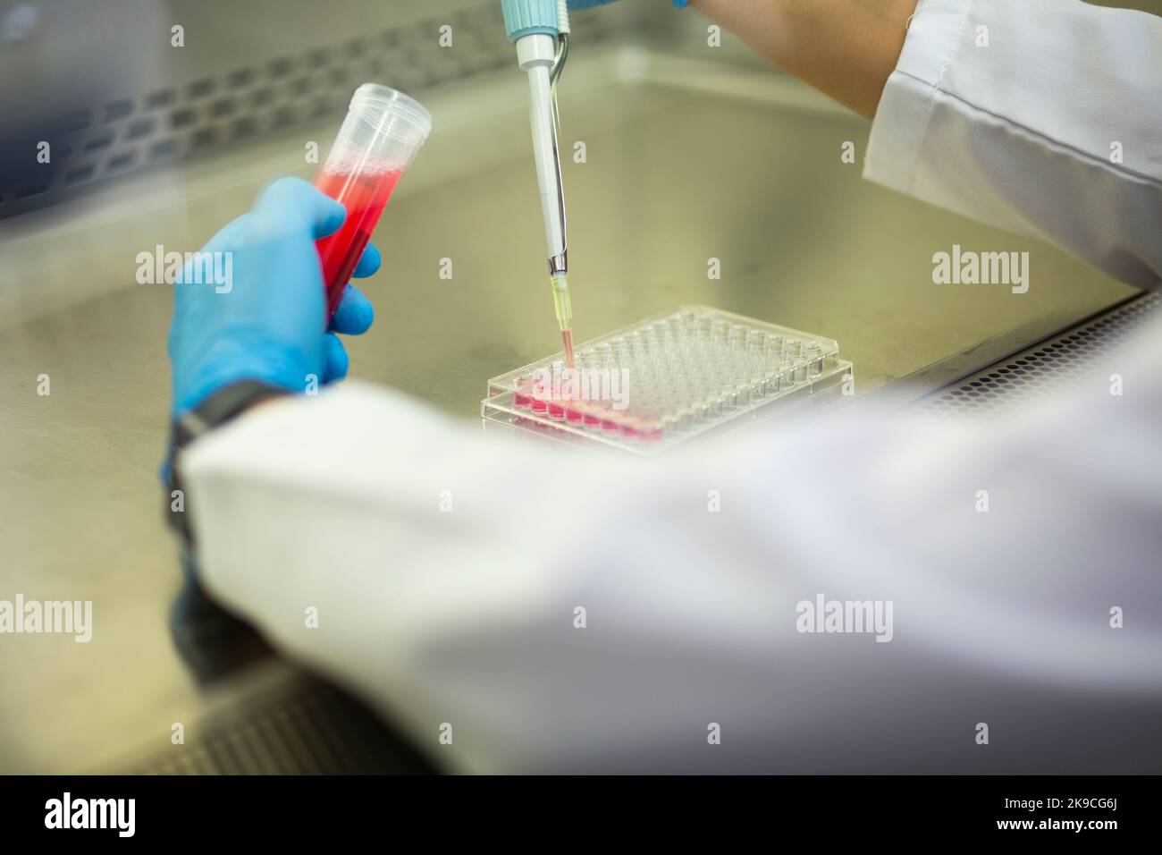 cell culture, medicine, medical and biology laboratory Stock Photo - Alamy