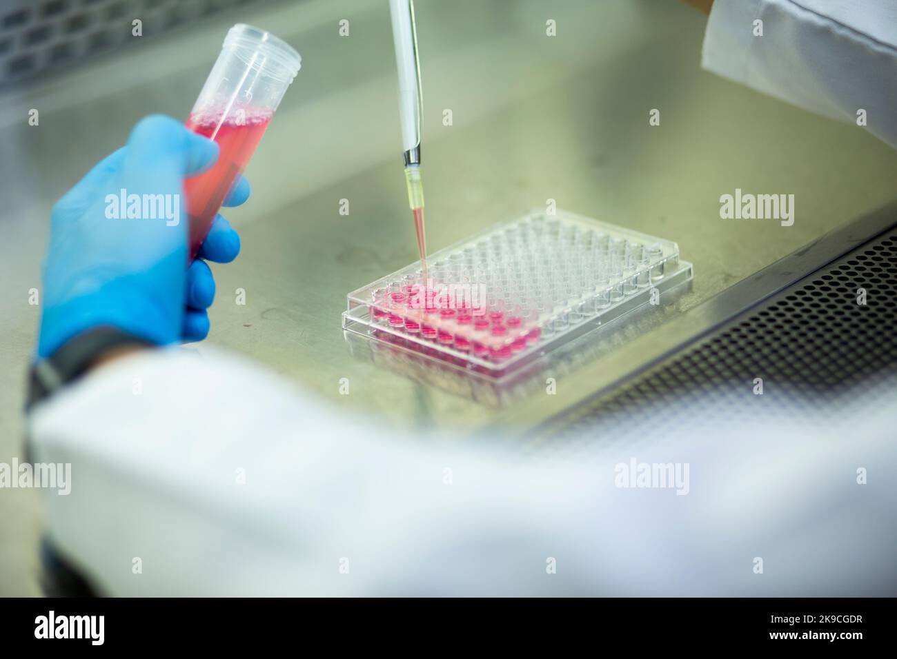 cell culture, medicine, medical and biology laboratory Stock Photo - Alamy