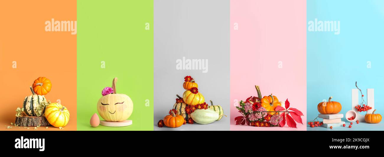 Collage with many pumpkins, leaves and flowers on color background ...