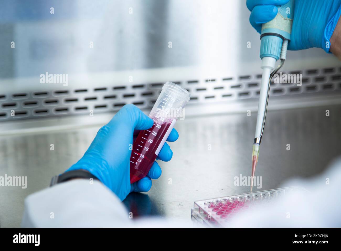 cell culture, medicine, medical and biology laboratory Stock Photo - Alamy
