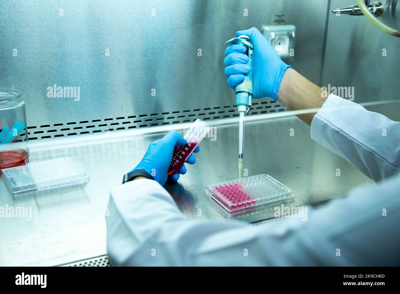 cell culture, medicine, medical and biology laboratory Stock Photo - Alamy