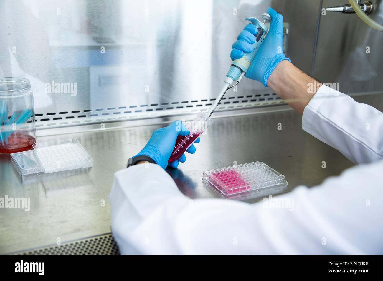 cell culture, medicine, medical and biology laboratory Stock Photo - Alamy
