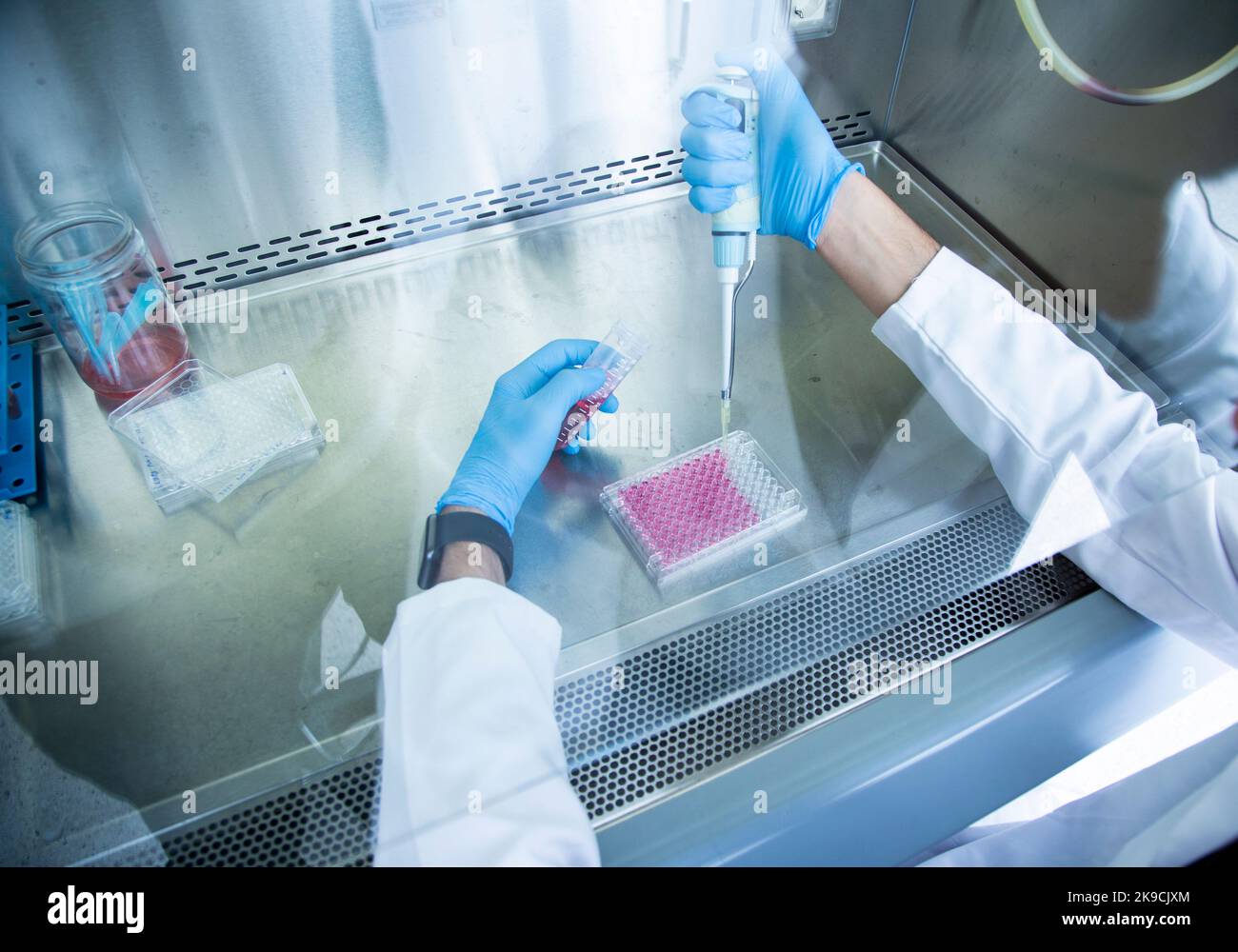 cell culture, medicine, medical and biology laboratory Stock Photo - Alamy