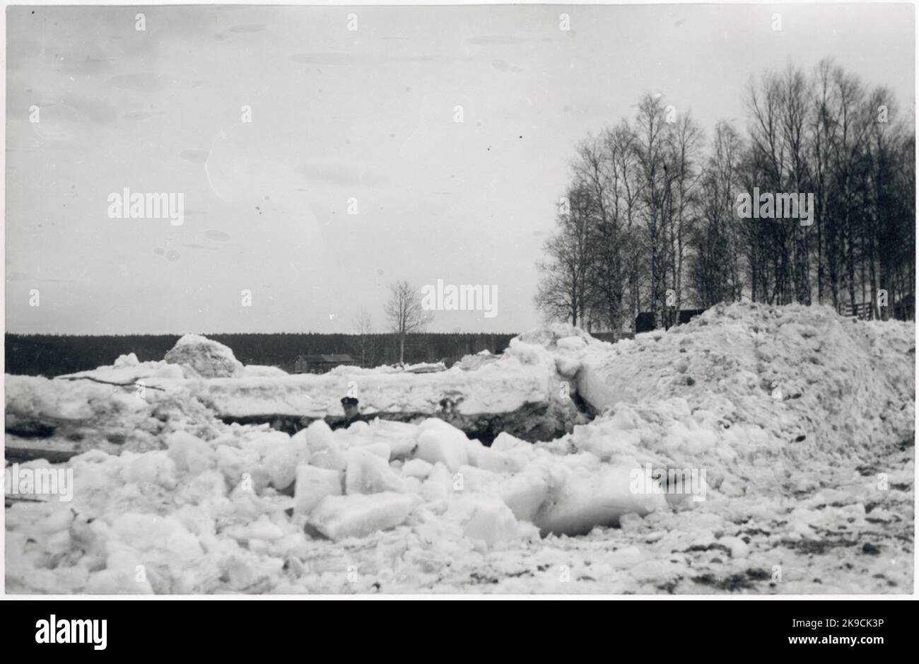 Snow and ice after flooding in Tornedalen Stock Photo - Alamy