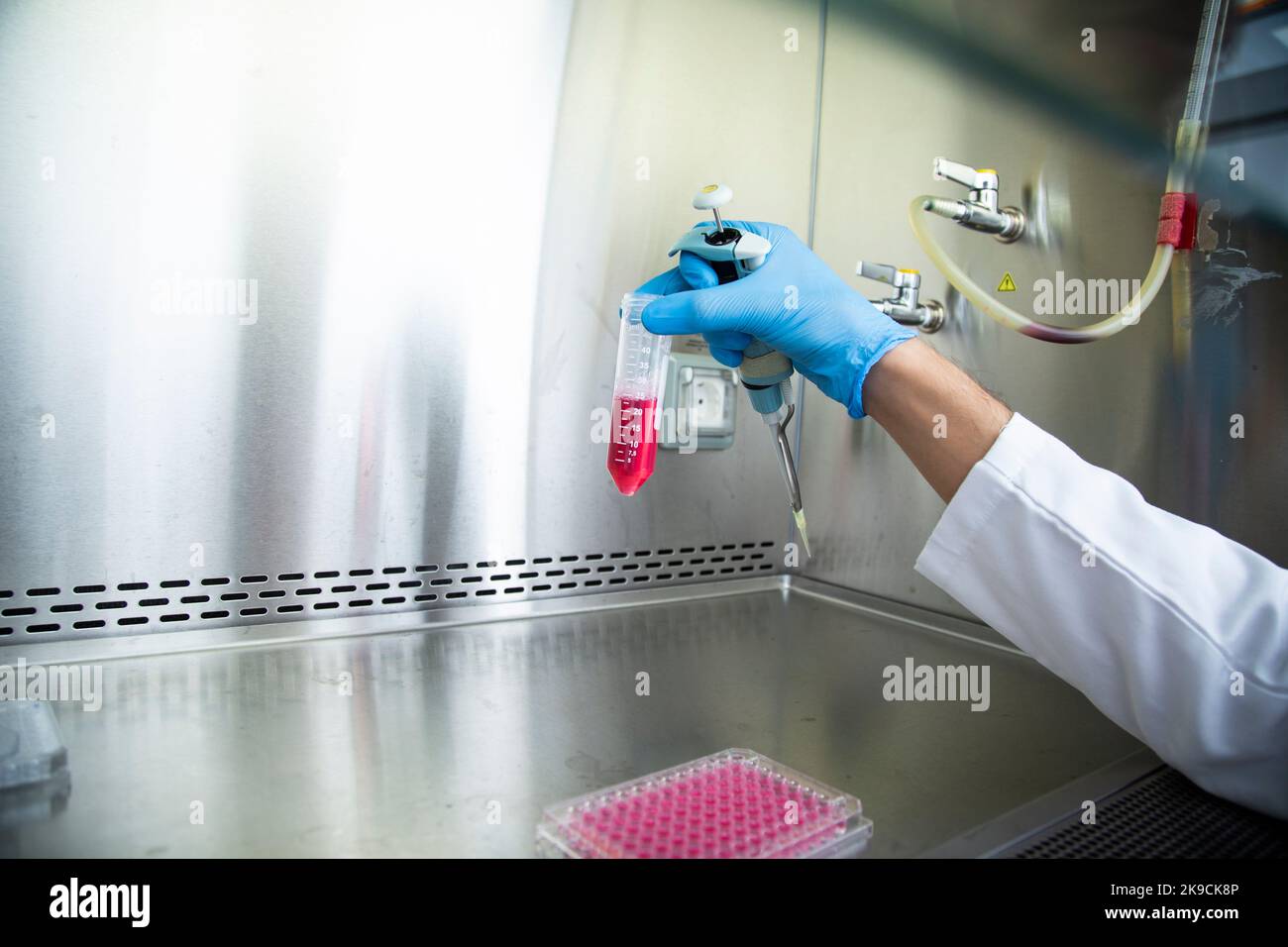 cell culture, medicine, medical and biology laboratory Stock Photo - Alamy