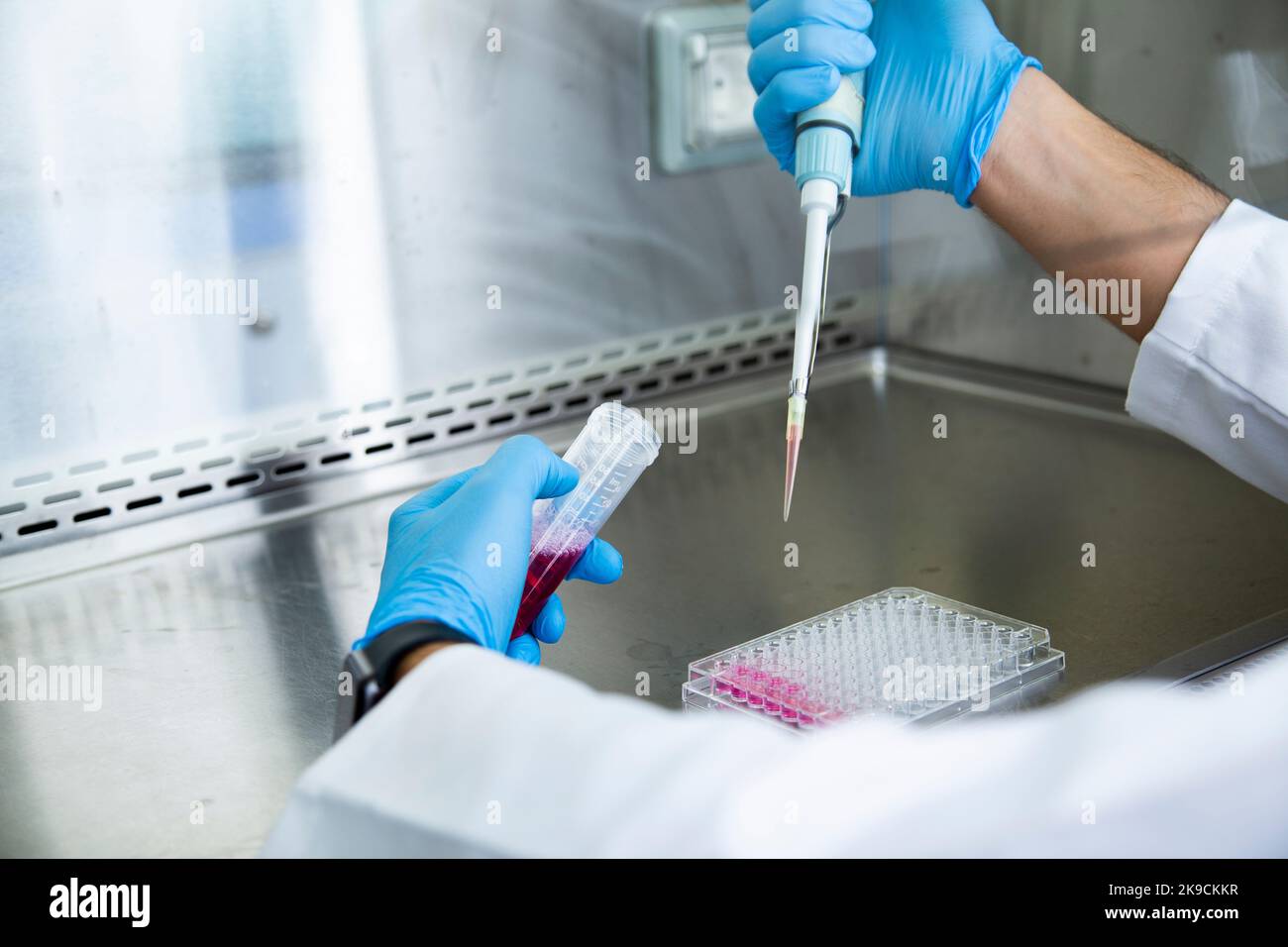 cell culture, medicine, medical and biology laboratory Stock Photo - Alamy