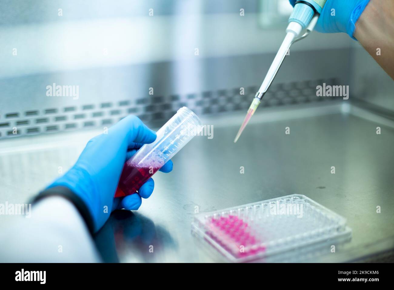 cell culture, medicine, medical and biology laboratory Stock Photo - Alamy