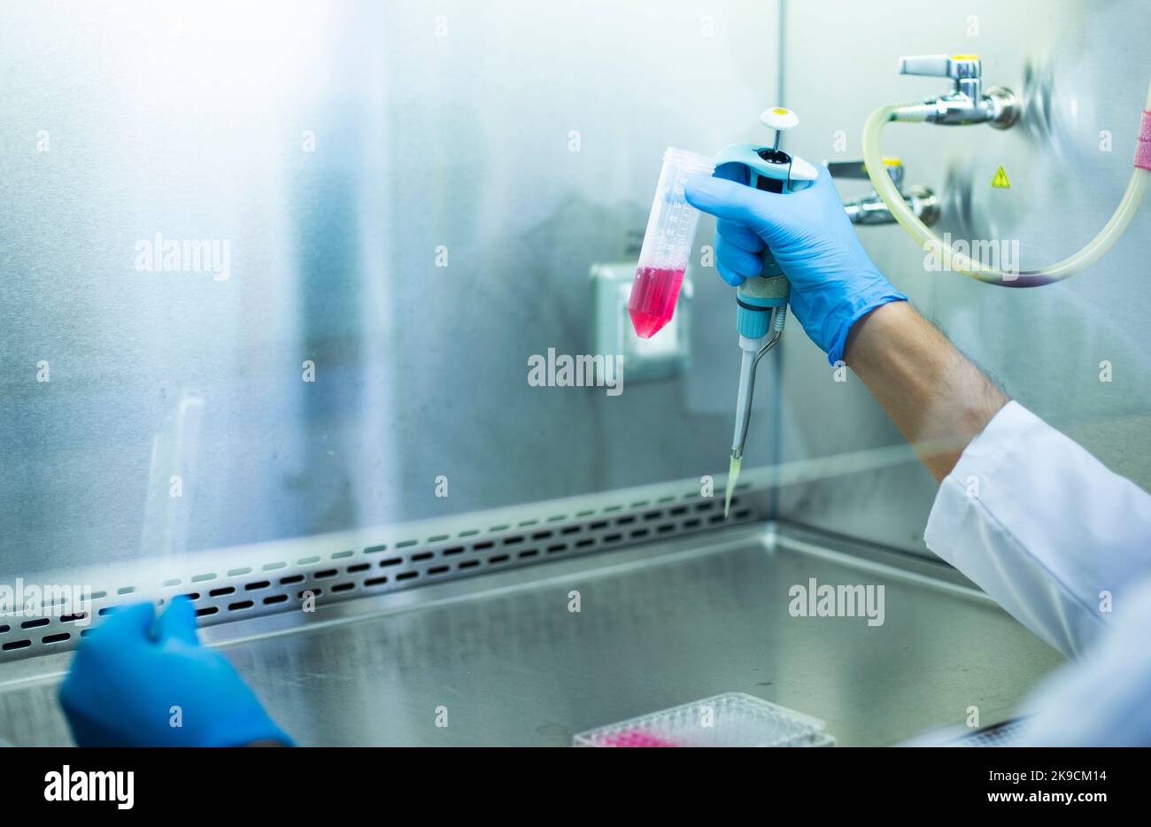 cell culture, medicine, medical and biology laboratory Stock Photo - Alamy