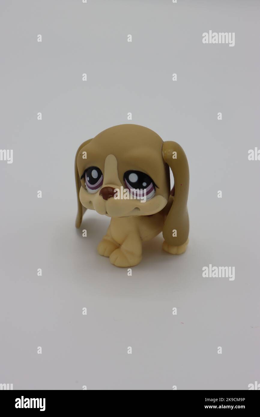 Littlest Pet Shop Wallpaper Dog