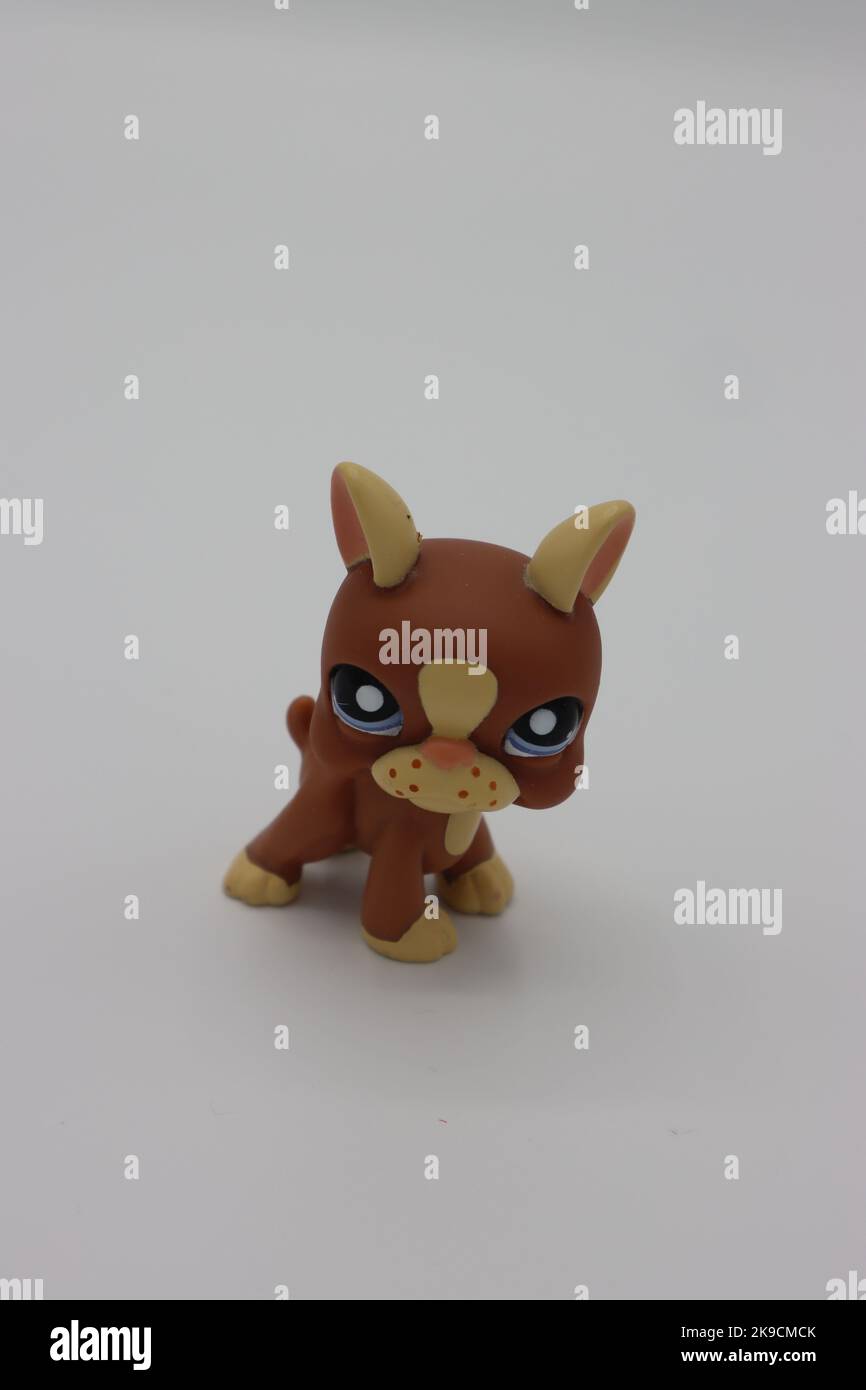 Littlest Pet Shop Wallpaper Dog