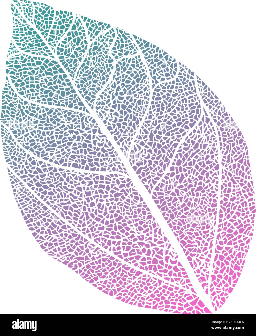 Tree leaf skeletonized blue and purple. Vector illustration Stock ...
