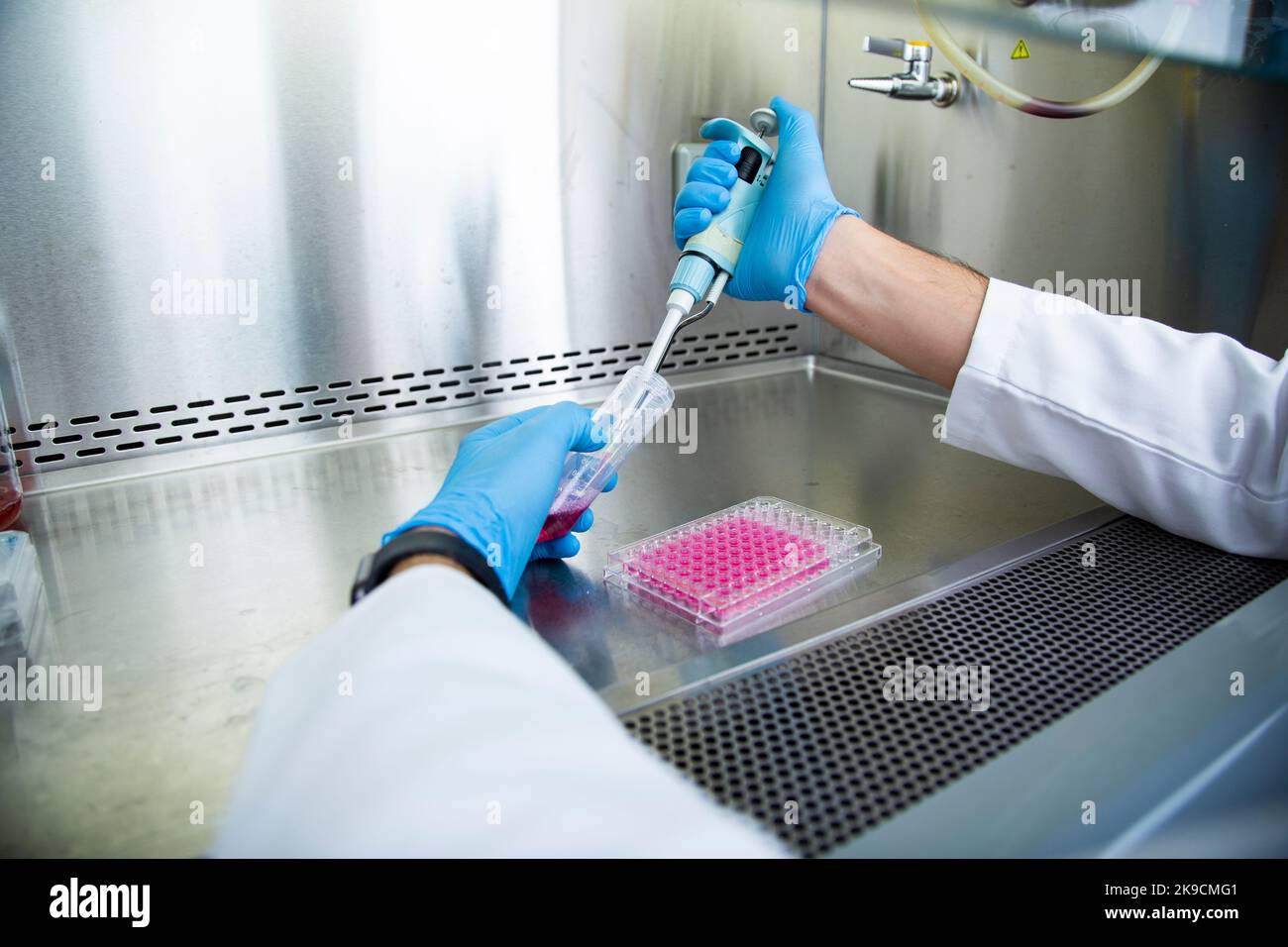 cell culture, medicine, medical and biology laboratory Stock Photo - Alamy