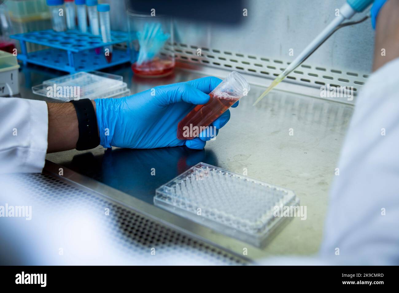cell culture, medicine, medical and biology laboratory Stock Photo - Alamy