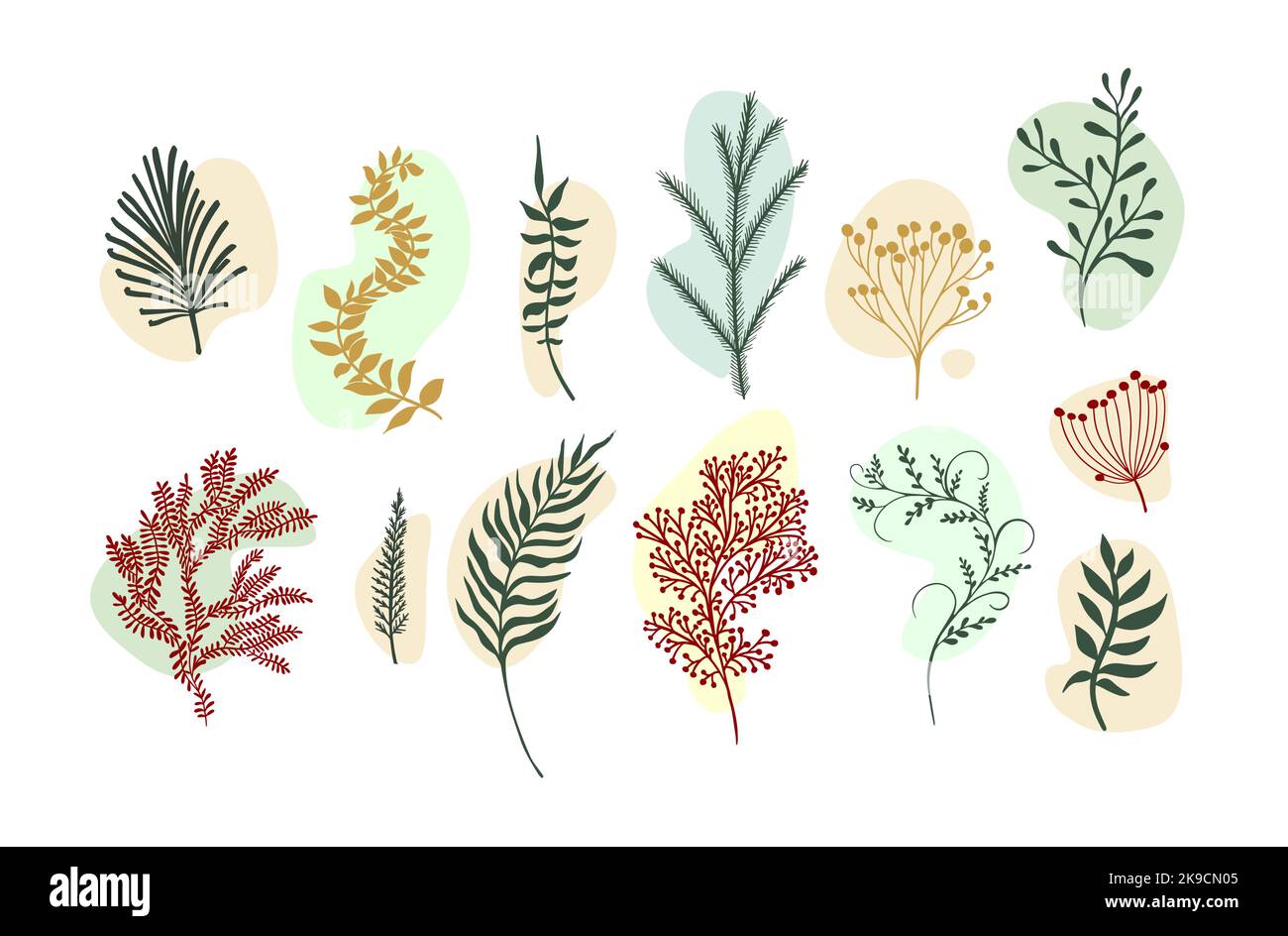 Vector abstract botanical compositions. Boho story highlites template ...