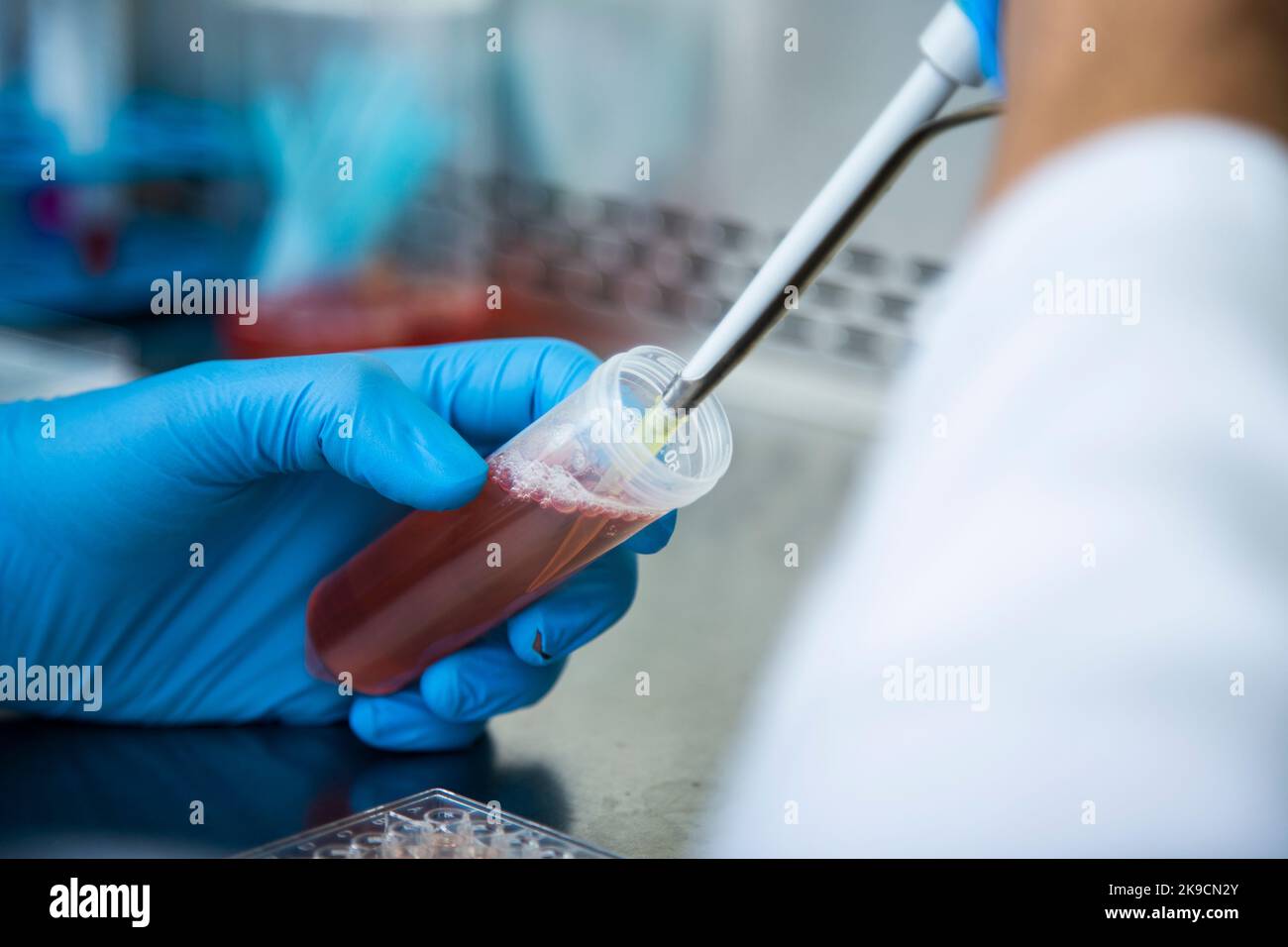 cell culture, medicine, medical and biology laboratory Stock Photo - Alamy