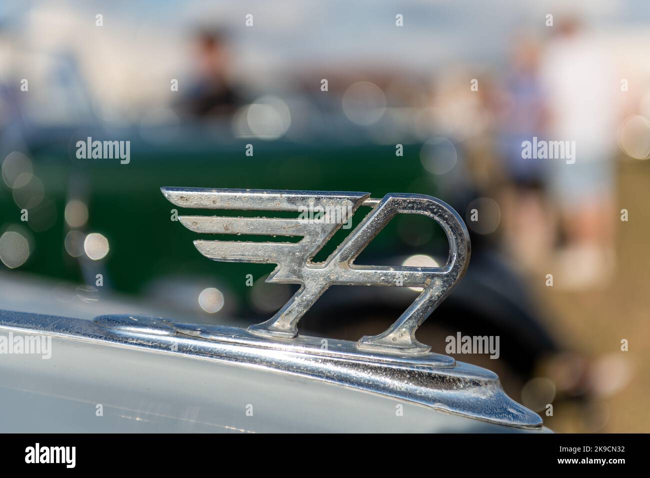 Tarrant Hinton.Dorset.United Kingdom.August 25th 2022.Close up of the ...