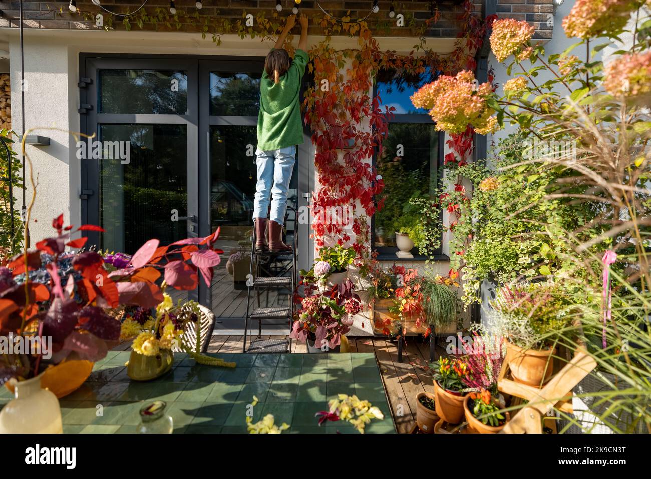 Woman decorating home ivy hi-res stock photography and images - Alamy