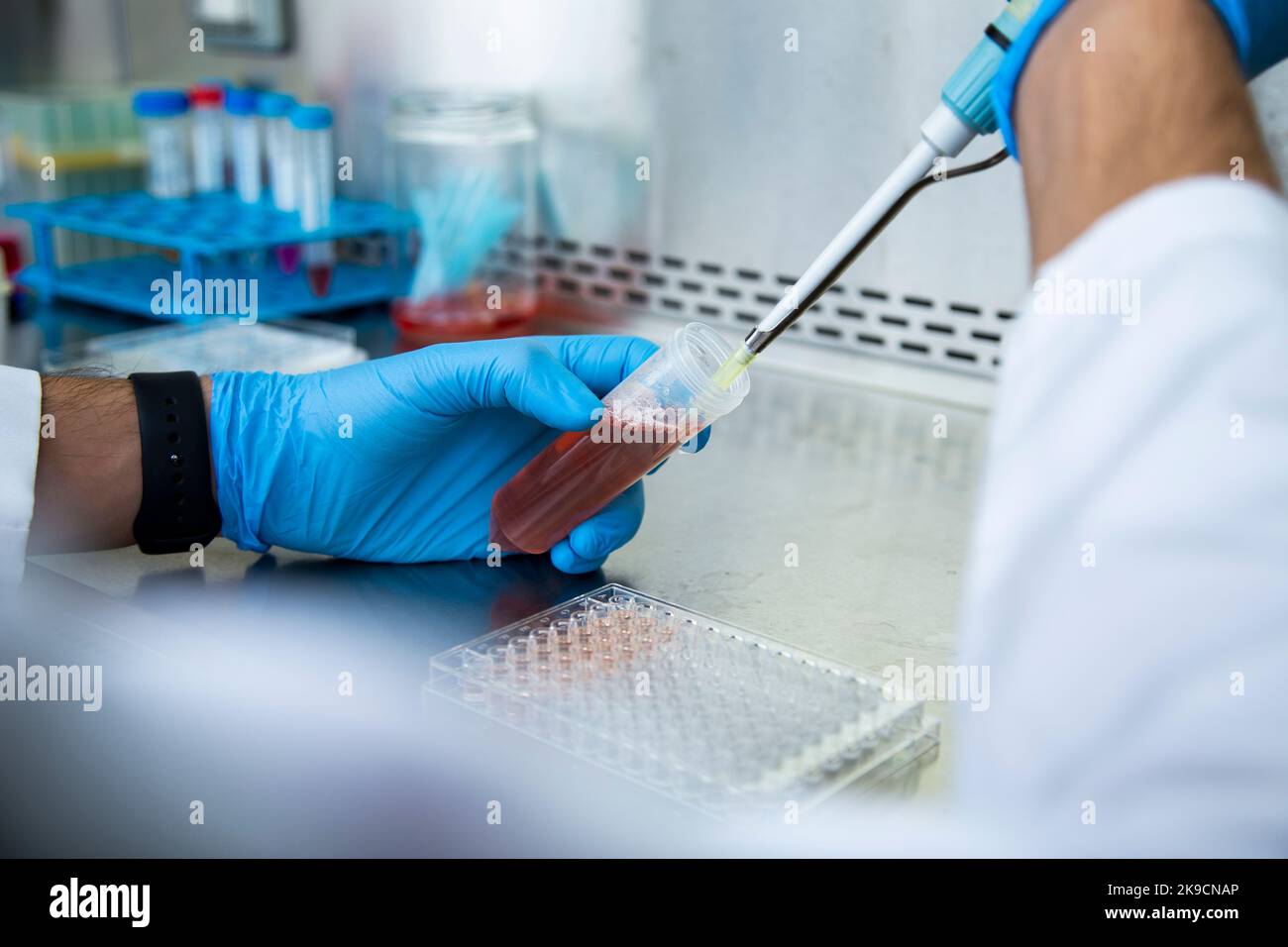 cell culture, medicine, medical and biology laboratory Stock Photo - Alamy