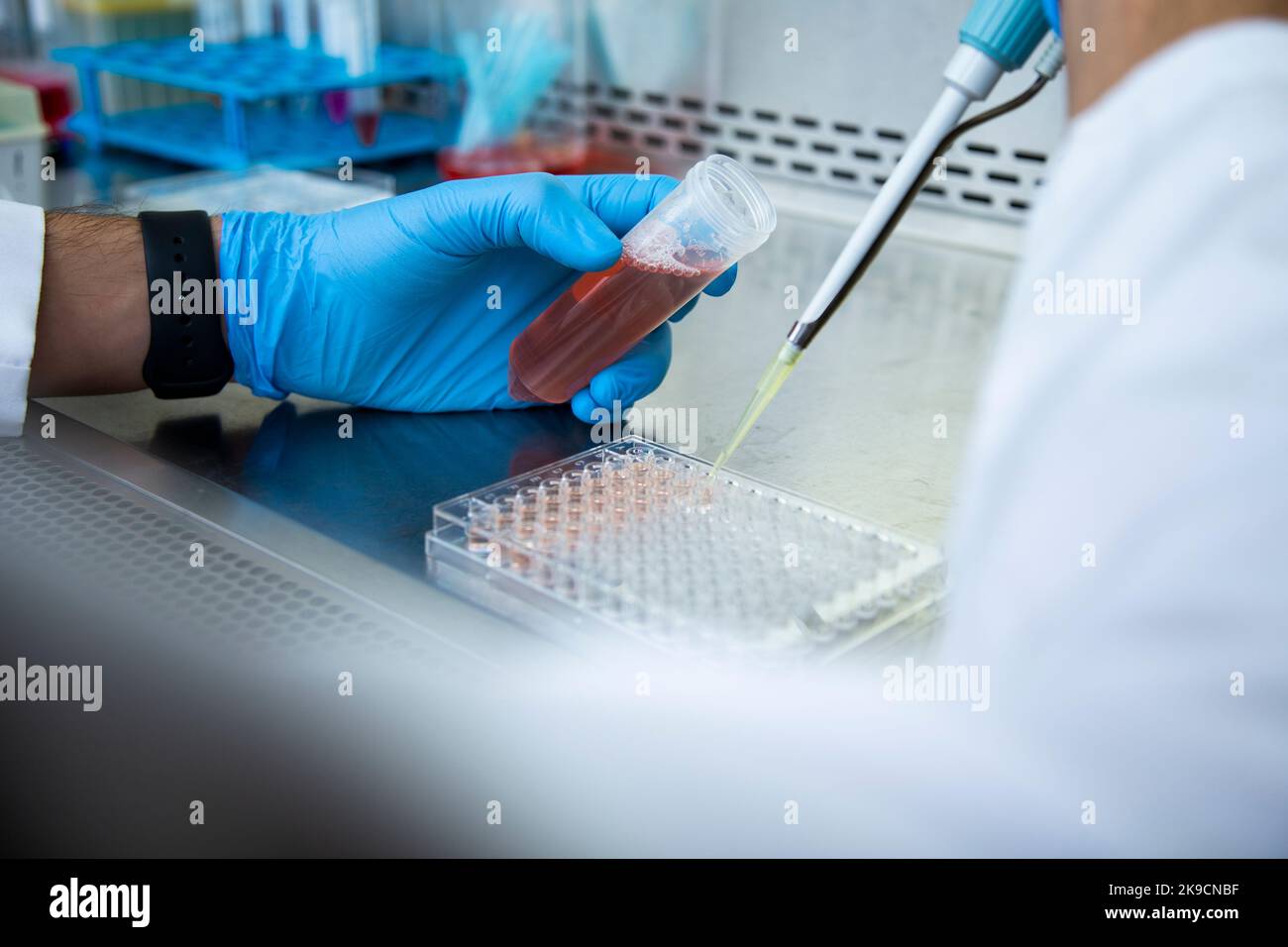 cell culture, medicine, medical and biology laboratory Stock Photo - Alamy