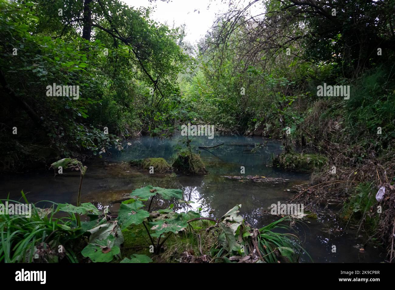 Elsa River, in the stretch near Colle Val D'Elsa, bordered by a ...