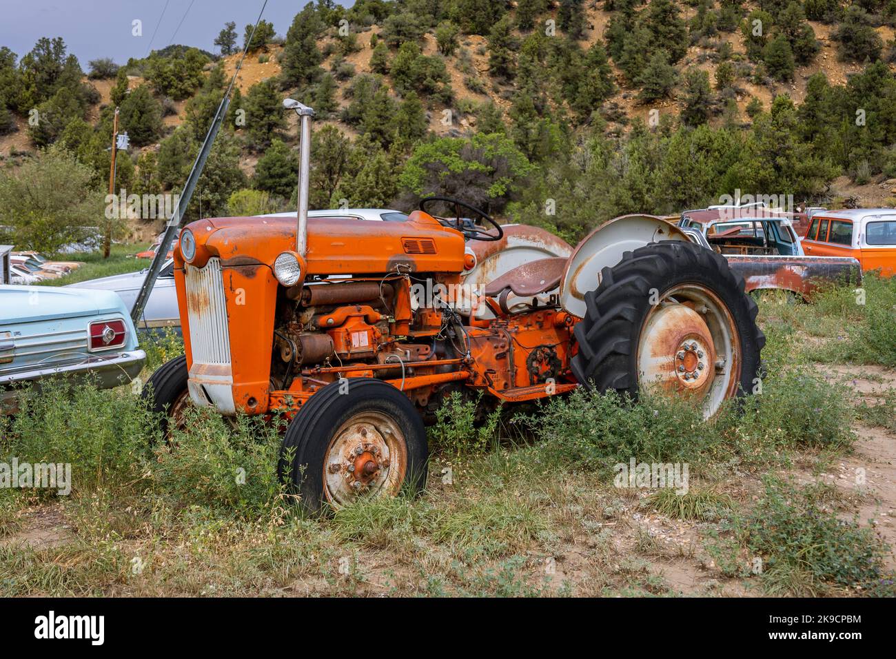 Orange wheeled tractor in hi-res stock photography and images - Alamy