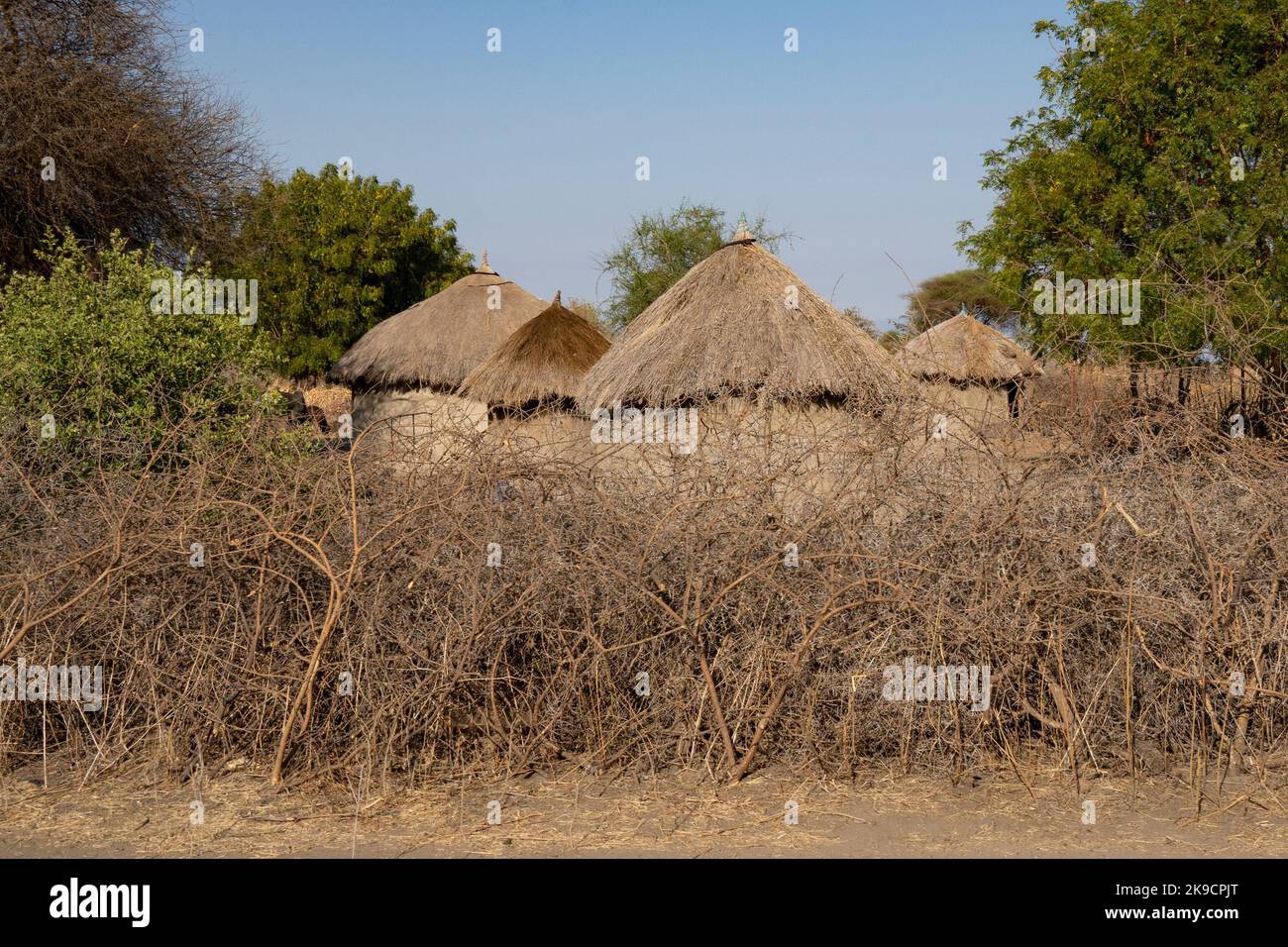A masai village in Tanzania, containing a few mud huts with straw roofs ...