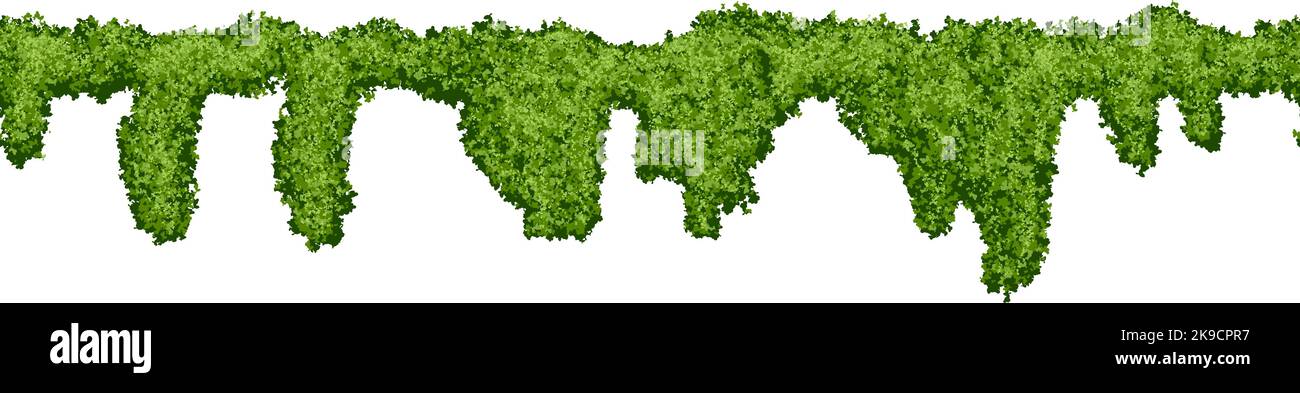 Horizontal endless swamp moss pattern on white background Stock Vector ...