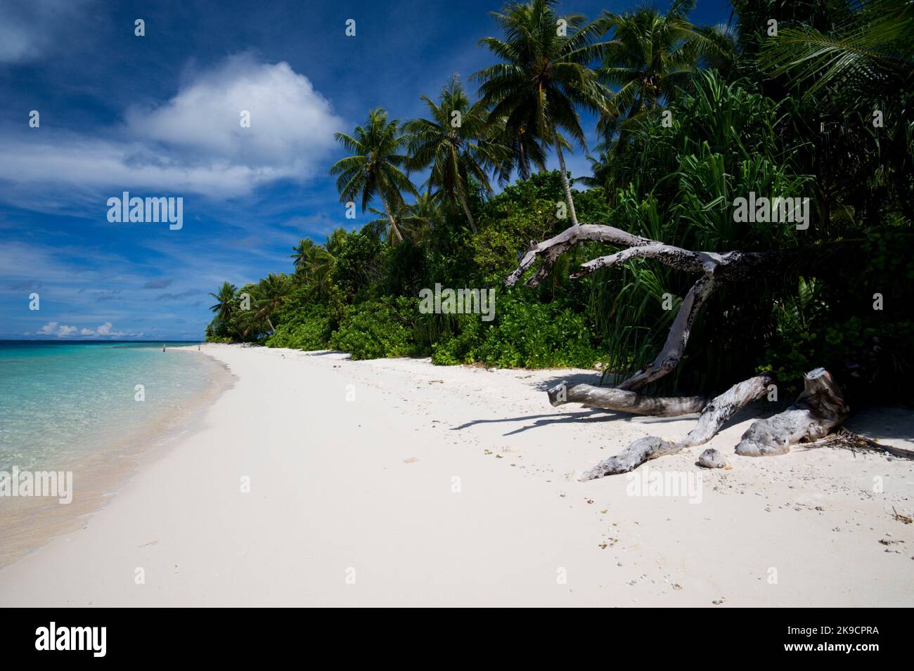 The lagoon side beach at Eneko Island, Majuro Atoll, Marshall Islands ...