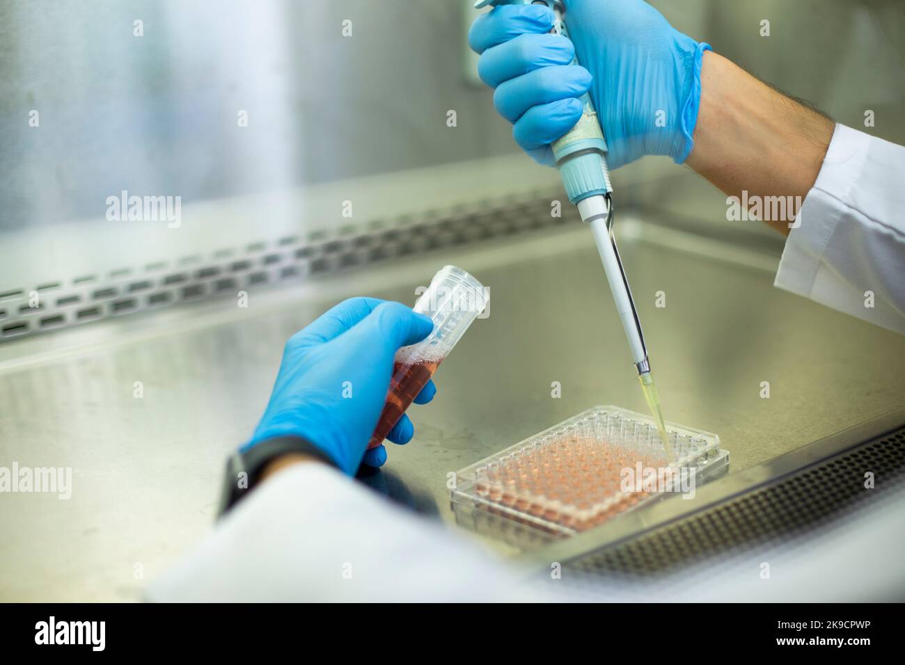 cell culture, medicine, medical and biology laboratory Stock Photo - Alamy