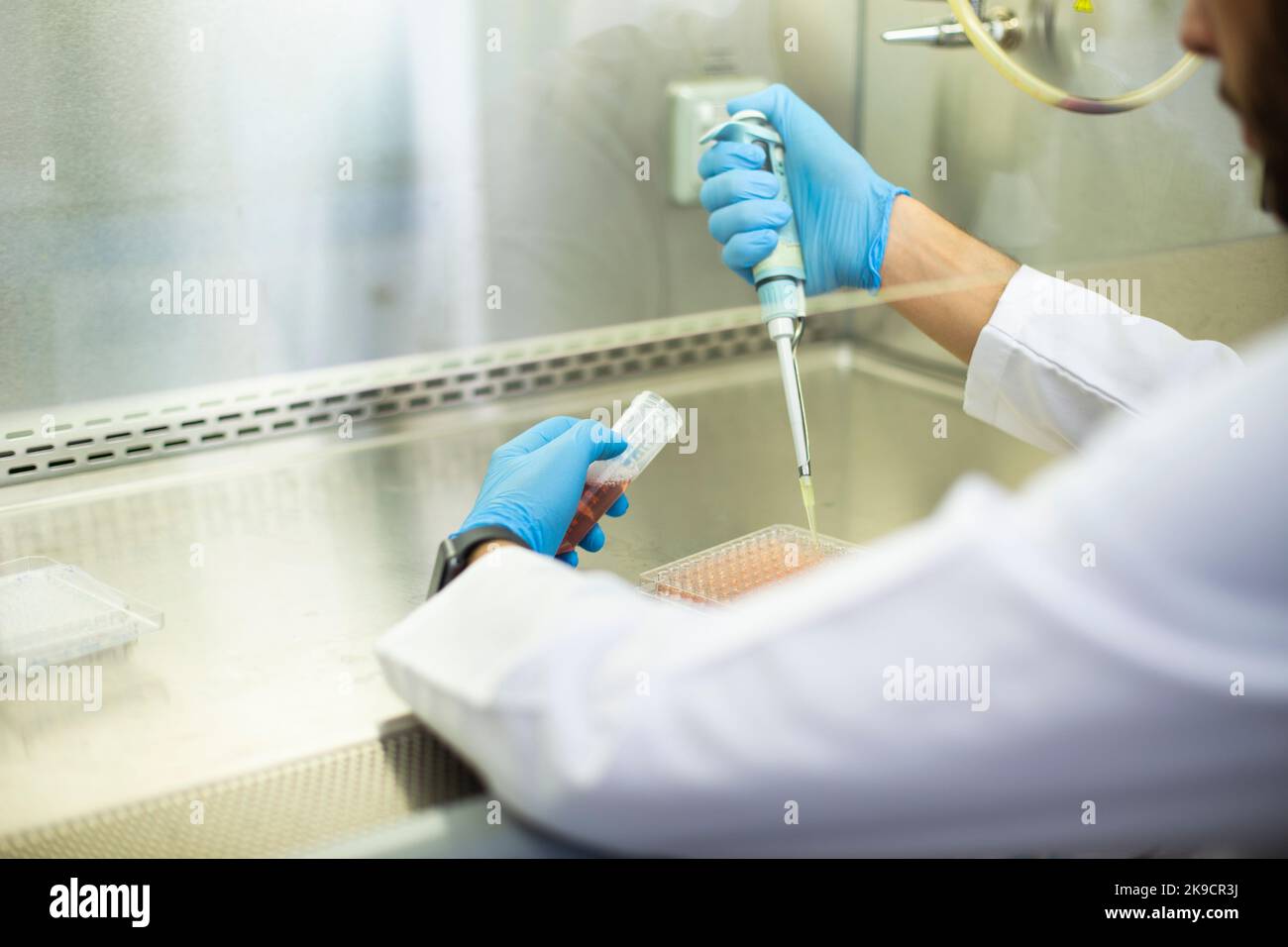 cell culture, medicine, medical and biology laboratory Stock Photo - Alamy