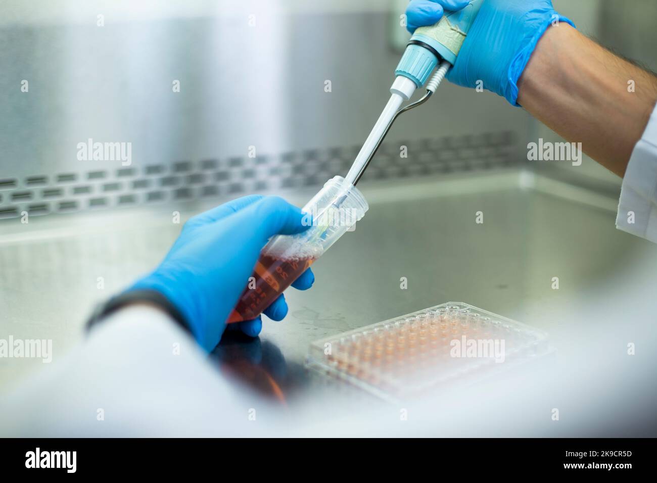 cell culture, medicine, medical and biology laboratory Stock Photo - Alamy