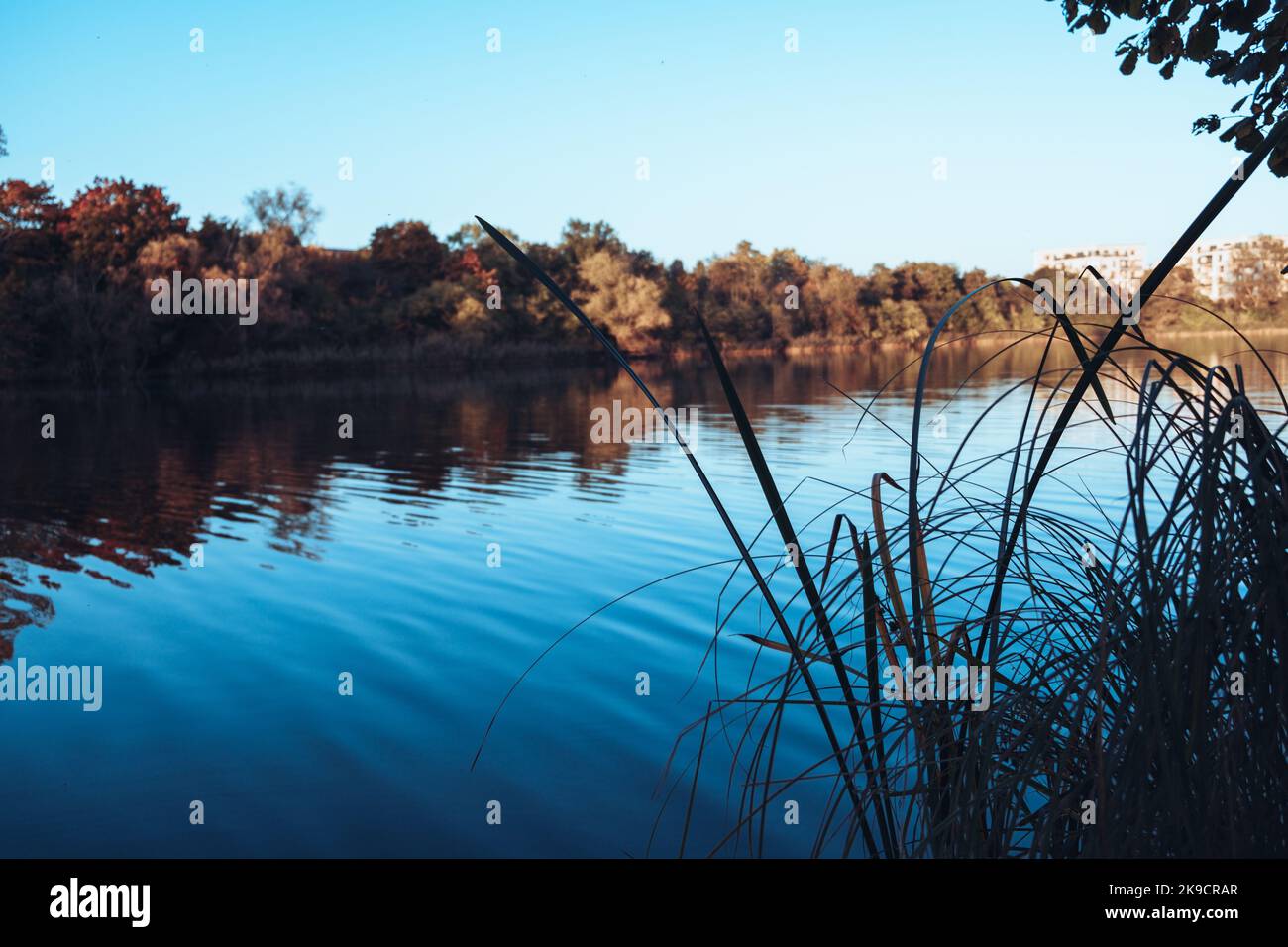 a boat floating along a river next to a body of water Stock Photo - Alamy