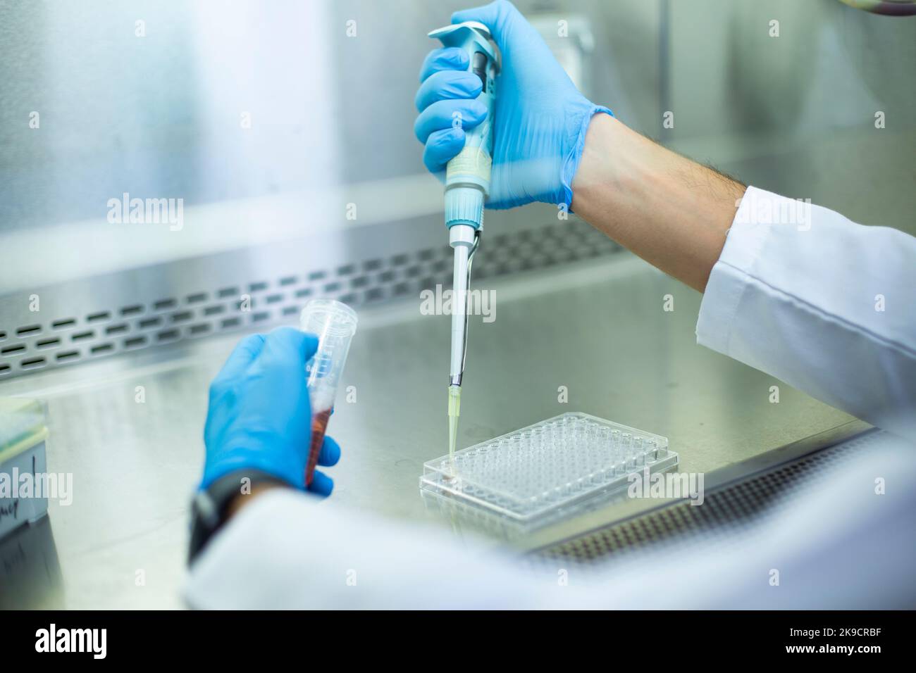 cell culture, medicine, medical and biology laboratory Stock Photo - Alamy