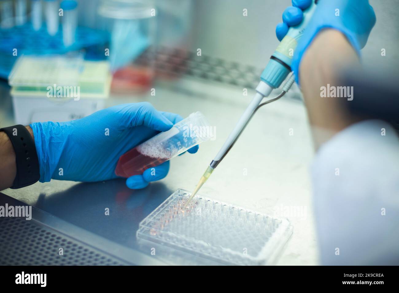 cell culture, medicine, medical and biology laboratory Stock Photo - Alamy