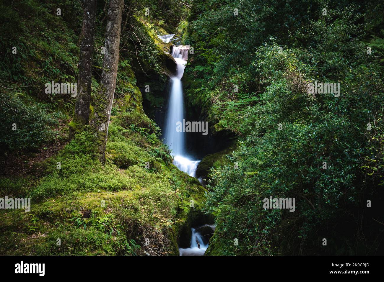 Small waterfall in the forest after the rain Stock Photo - Alamy
