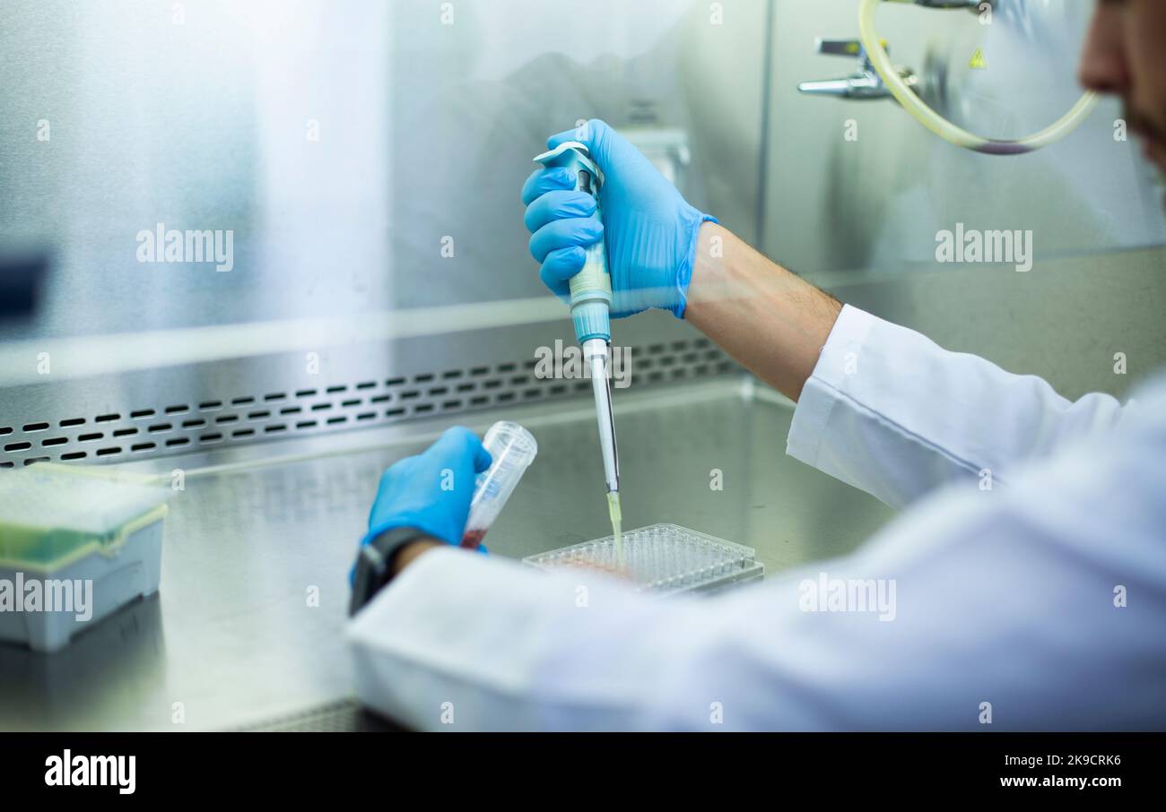 cell culture, medicine, medical and biology laboratory Stock Photo - Alamy