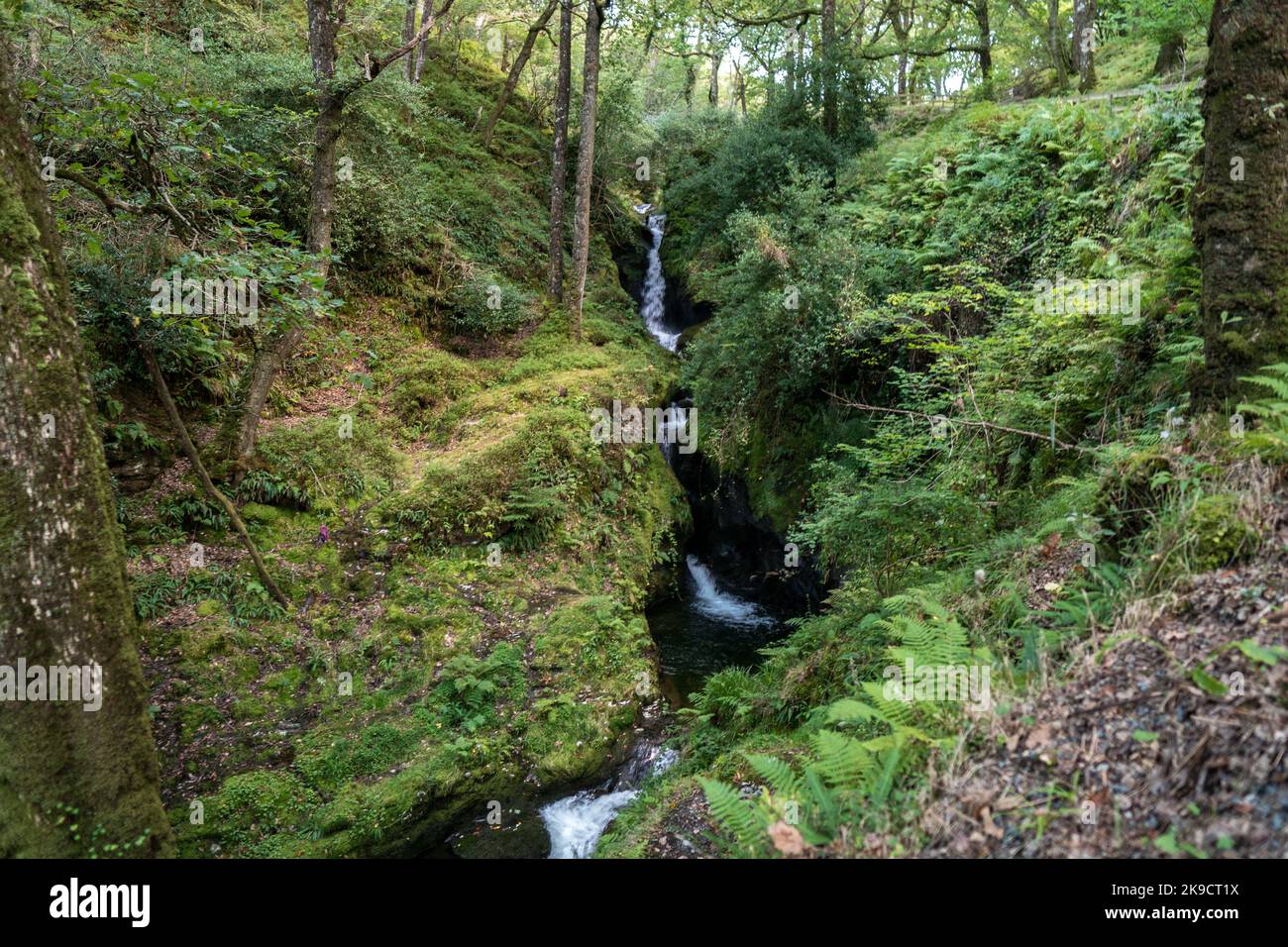 Small waterfall in the forest after the rain Stock Photo - Alamy