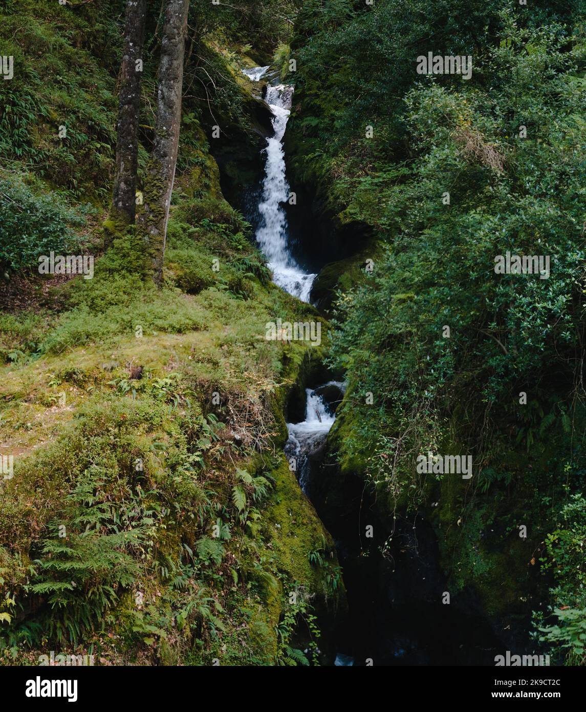 Small waterfall in the forest after the rain Stock Photo - Alamy